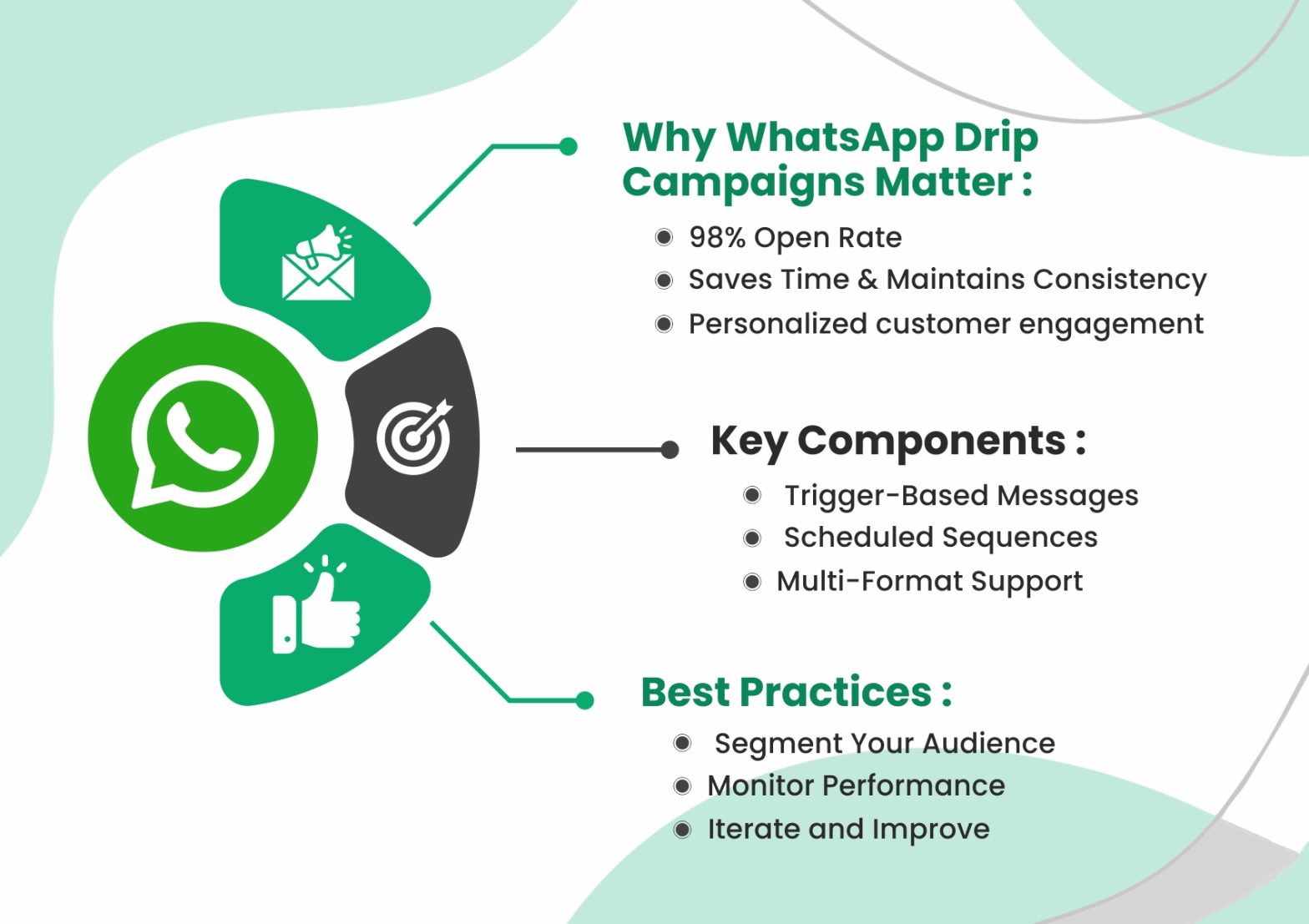 WhatsApp Drip Campaigning: Everything You Need to Know - Cunnekt
